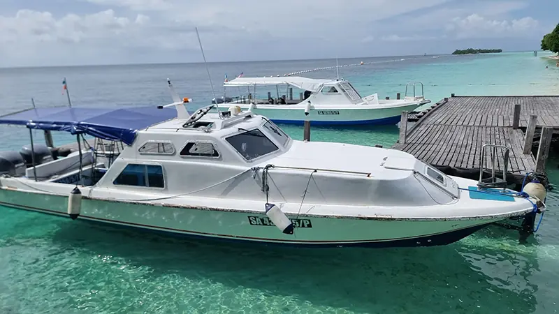 Leveraging satellite technology to moni... | Globalstar | GB