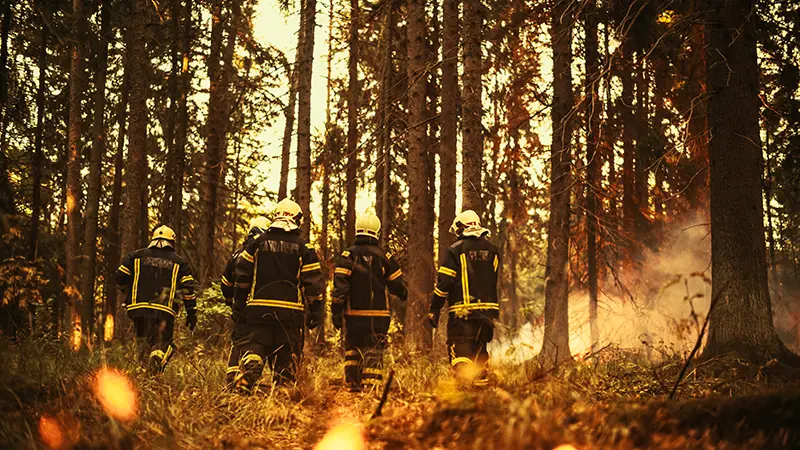 Enhancing First Responder Safety with S... | Globalstar | en-CA